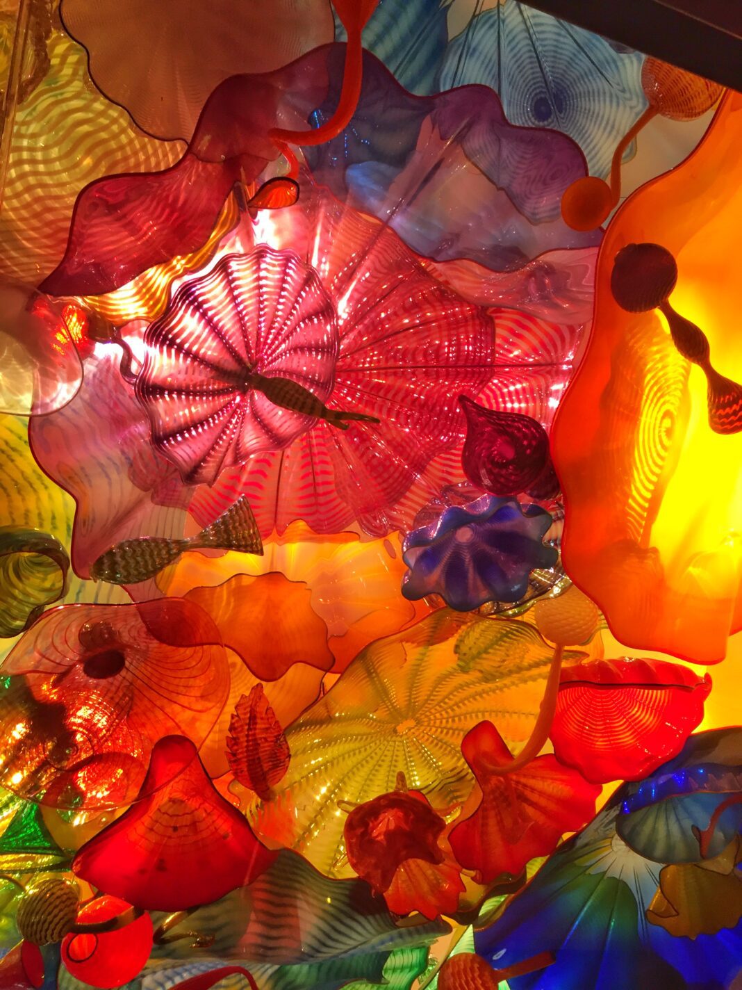 Visiting Seattle in January - Best Things to Do in Winter - Wanderlux