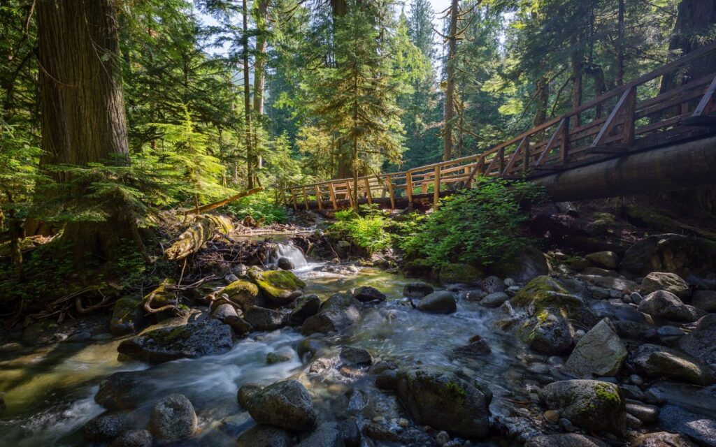 The Best Easy Waterfall Hikes Near Seattle - Wanderlux