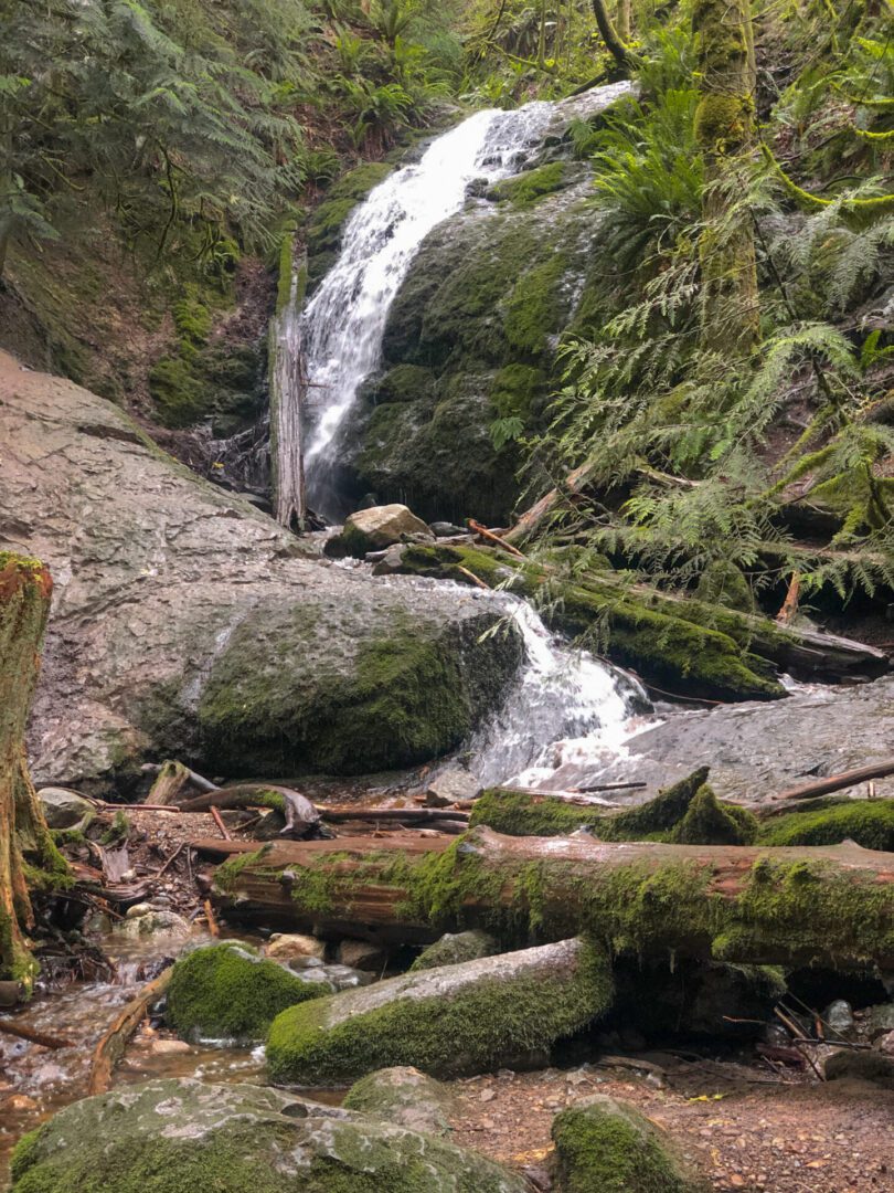 The Best Easy Waterfall Hikes Near Seattle - Wanderlux