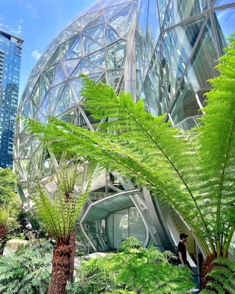 Visiting Seattle in January - Best Things to Do in Winter - Wanderlux