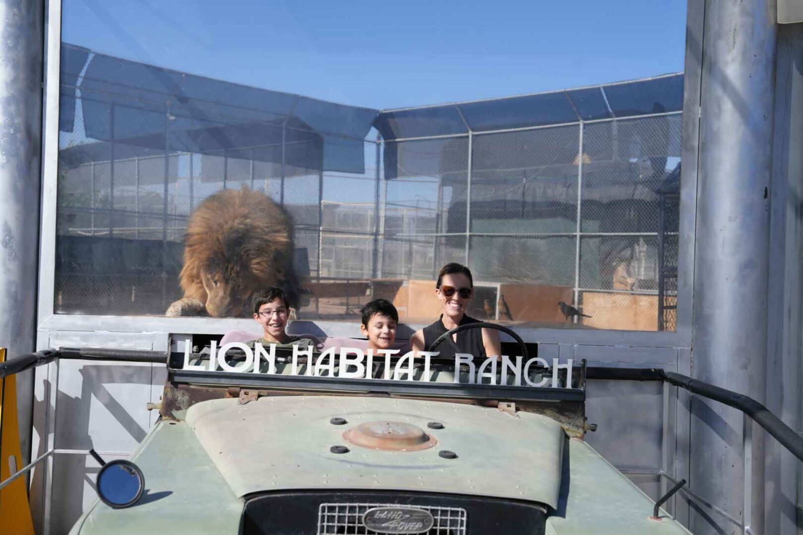 Lion Habitat Ranch Behind the Scenes Tour: A Full Review