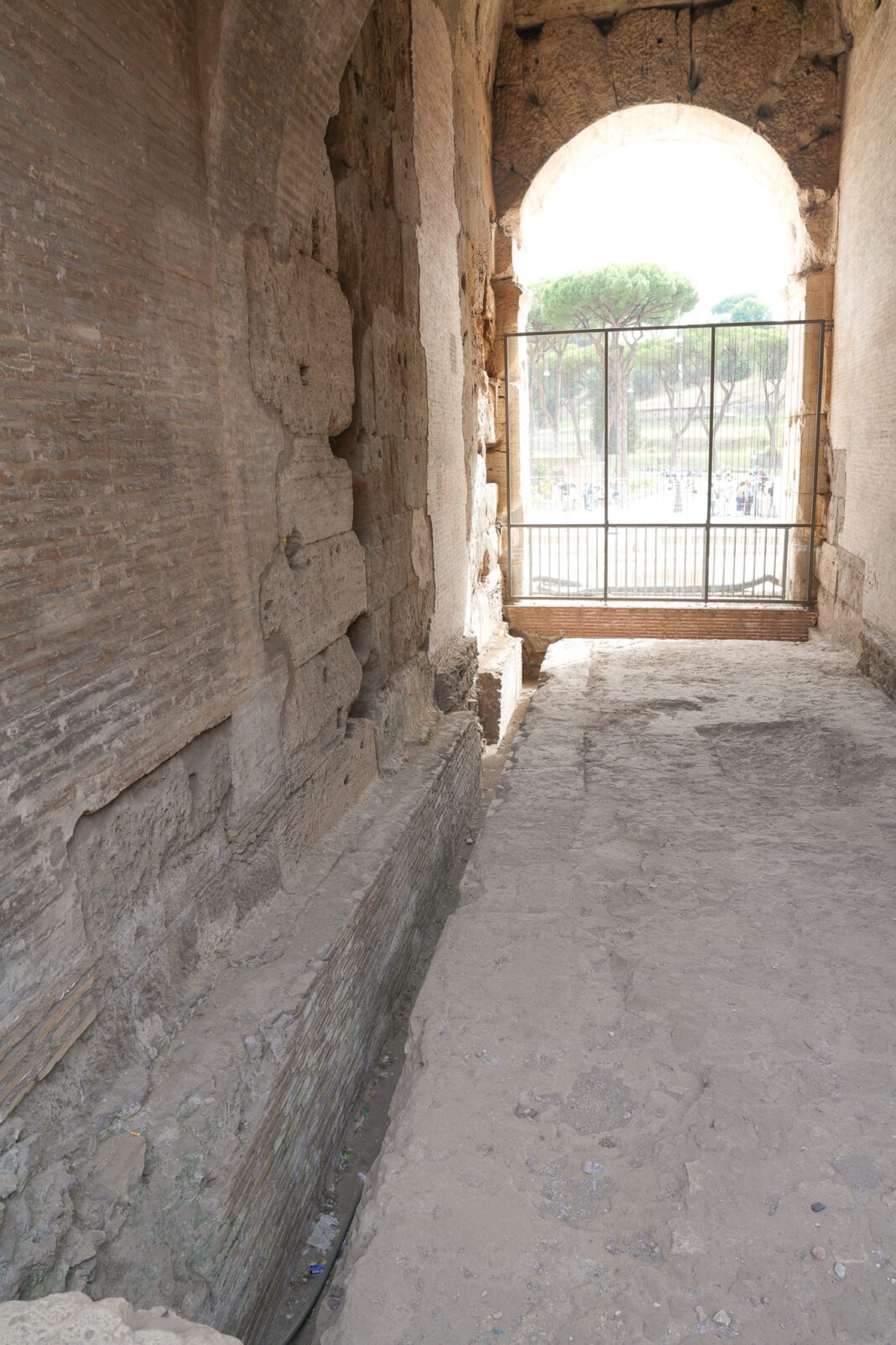 The Best Rome Colosseum Tour with Kids