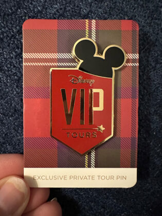 My Full Review of Disney VIP Tours at Walt Disney World, Florida