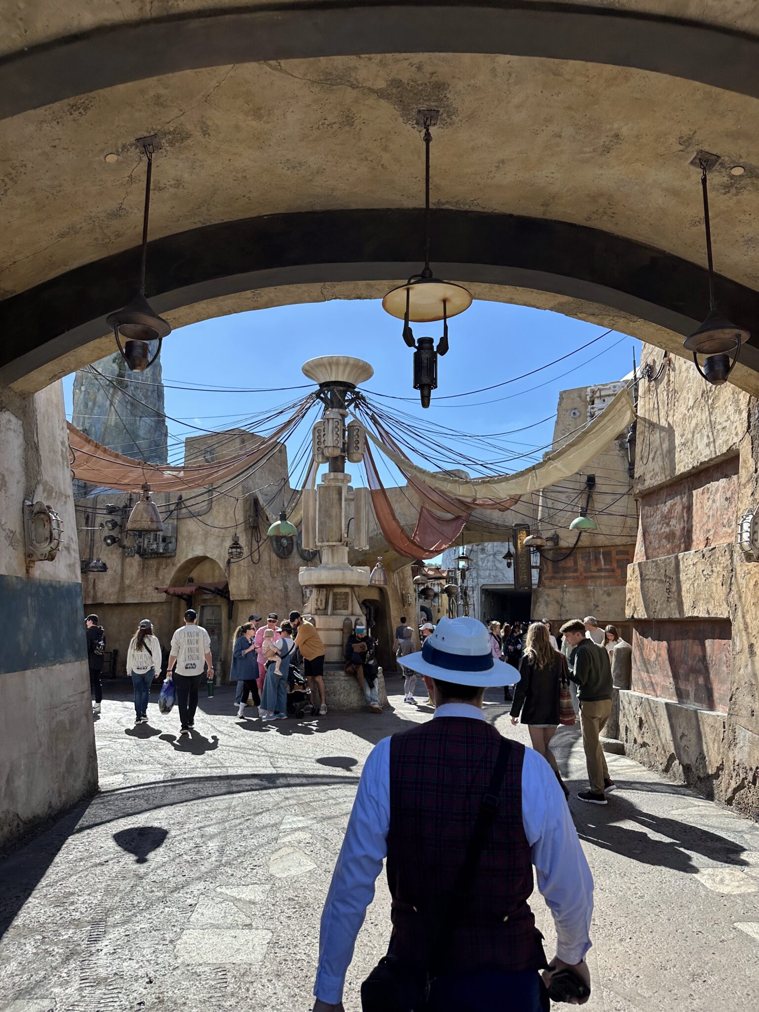 My Full Review of Disney VIP Tours at Walt Disney World, Florida