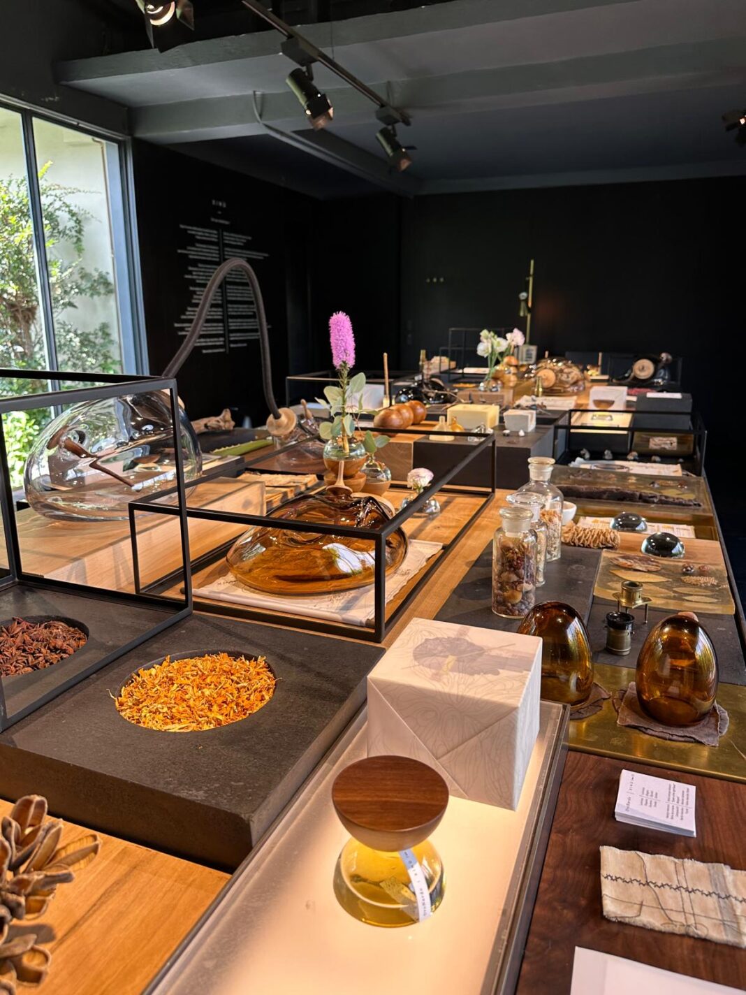 10 Best Places to Shop in Mexico City