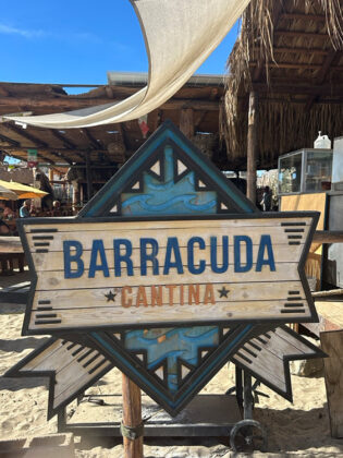 The Local's Guide to Los Cerritos Beach in Baja Mexico