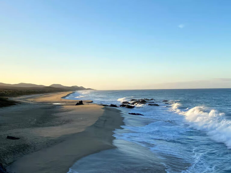 The Local's Guide to Los Cerritos Beach in Baja Mexico